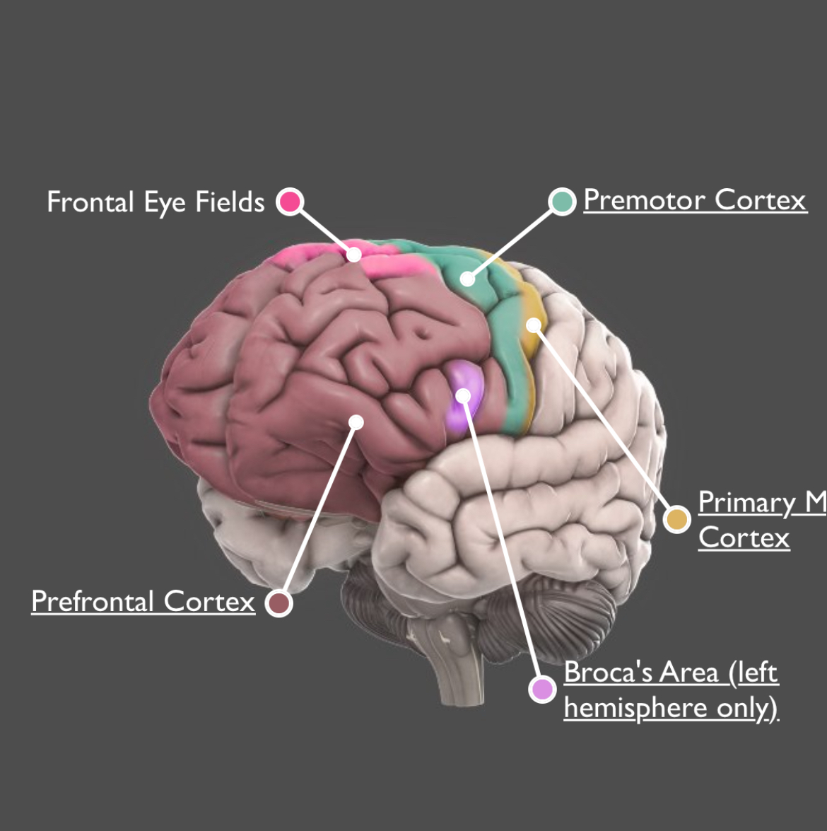 Nurturing Executive Functions in Preschoolers — The vital role of ...